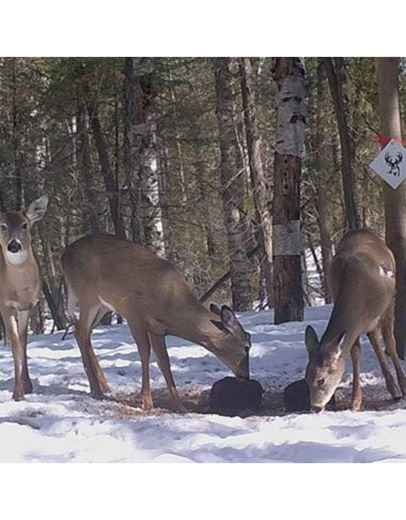 Rack Stacker Deer Lick Protein Block 25 lb. – Hunters Headquarters Canada